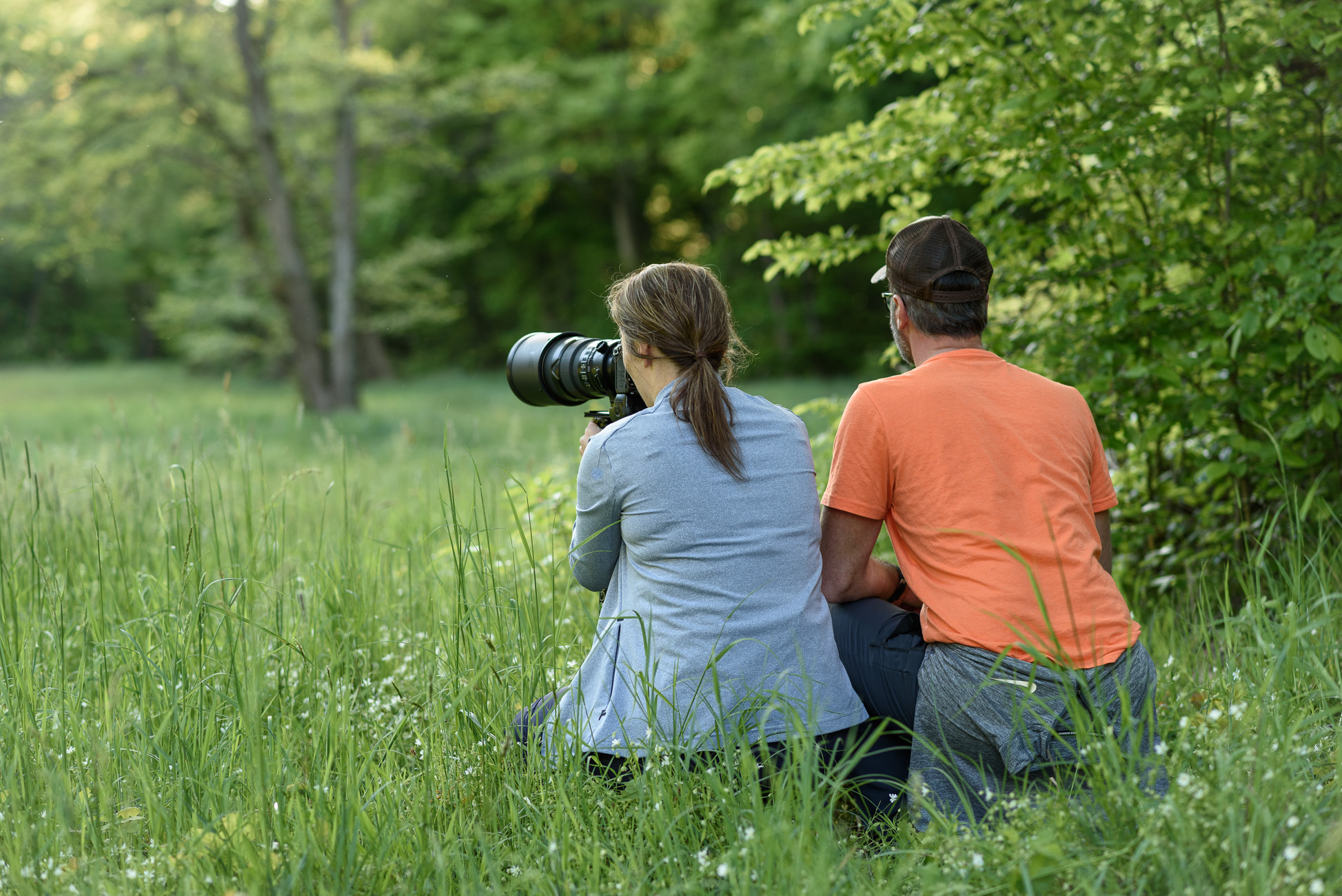 Wildlife Workshops – Wildspots